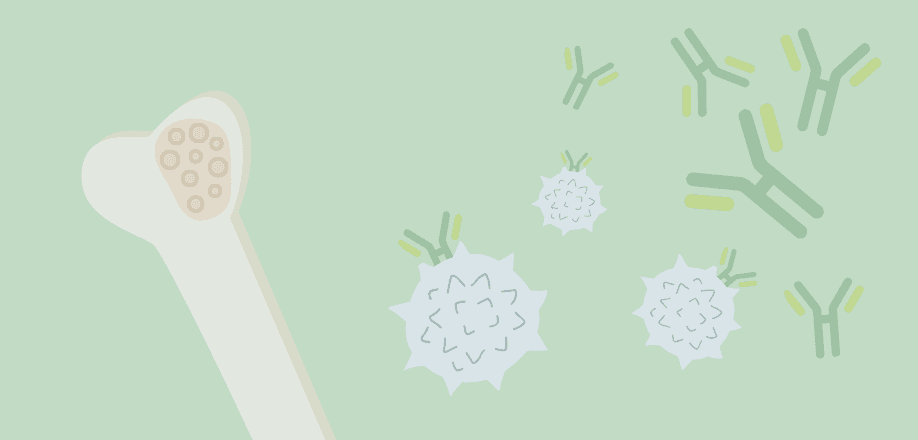 Qu'est-ce que c'est : le myélome multiple ? - Informations - La maladie